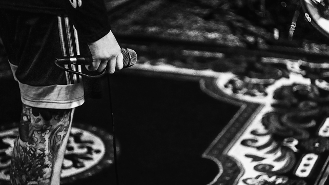 DynaCaster DCM Series - sE Electronics