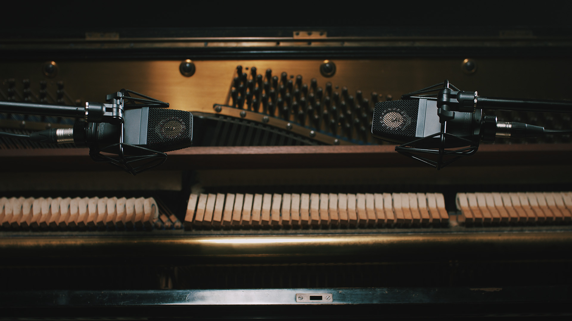 sE4100 - sE Electronics