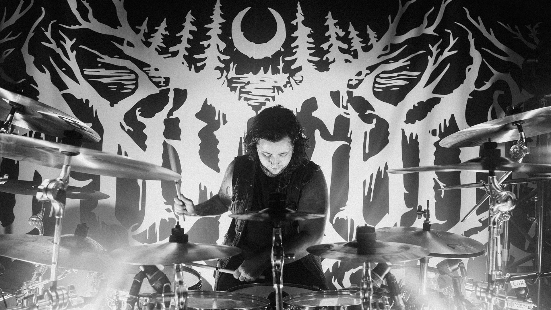 Austin Archey - sE Electronics