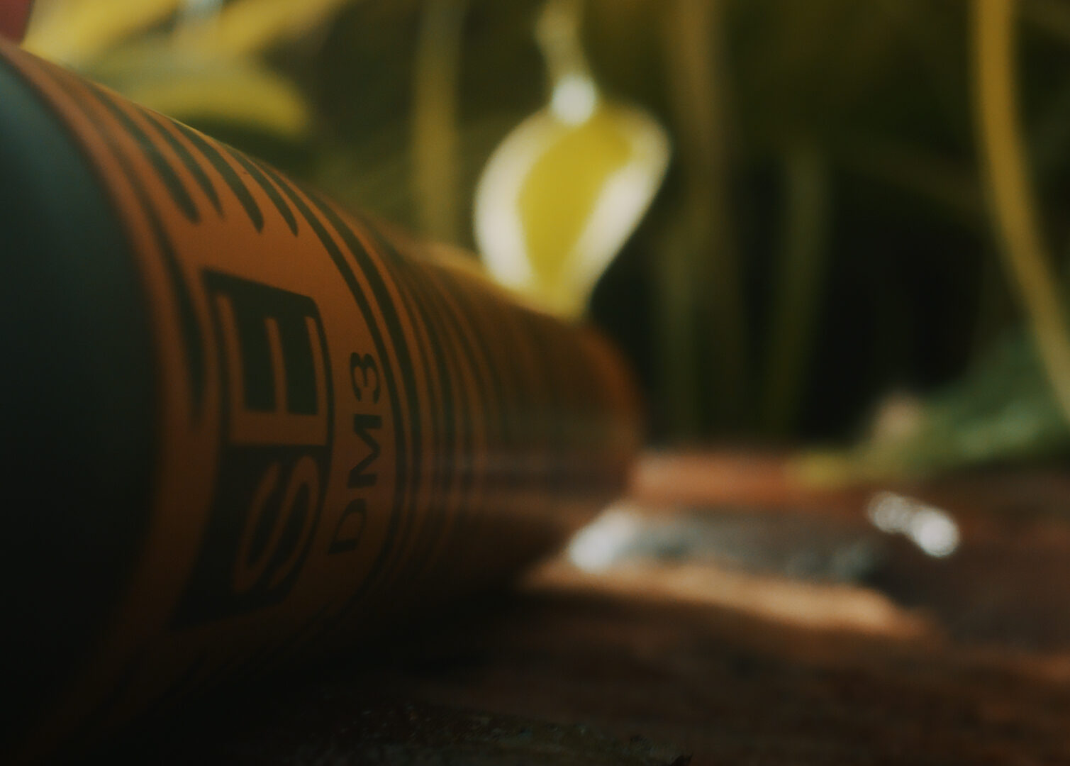 DM3 - sE Electronics