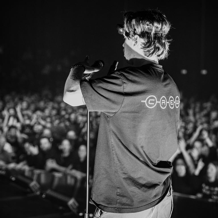 Seth Hancock - sE Electronics