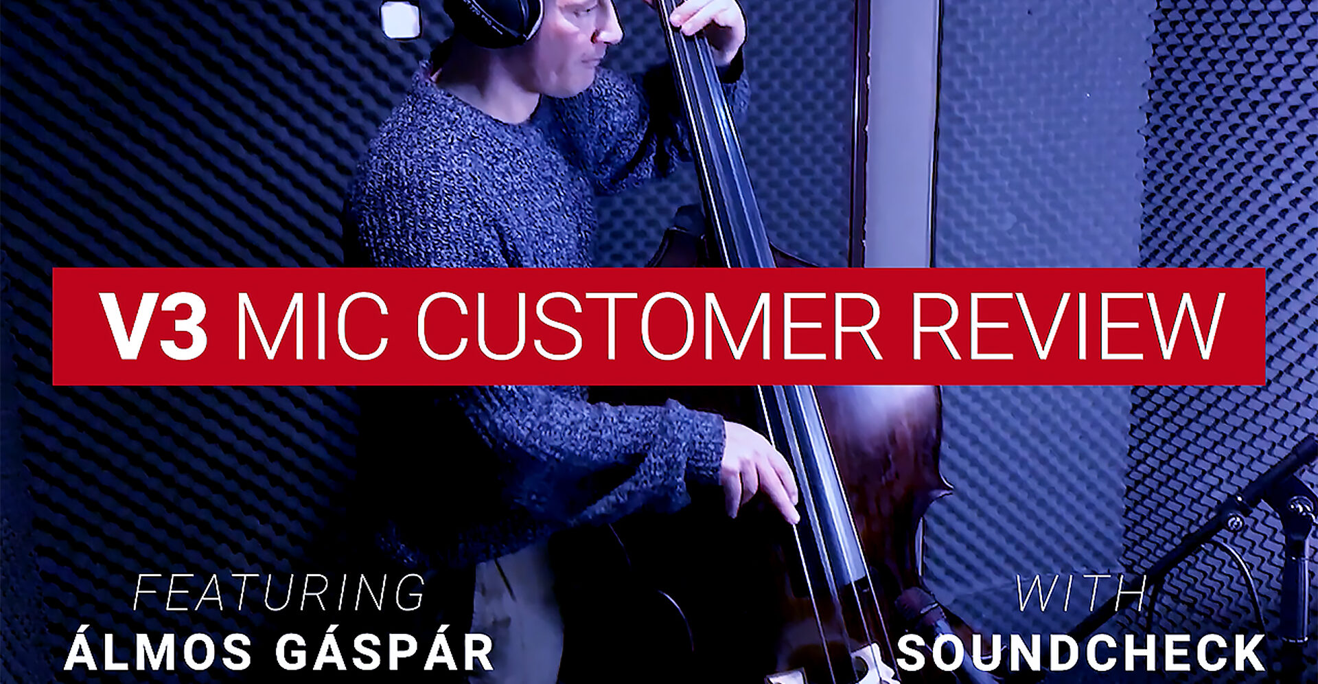 SERIE V - sE Electronics