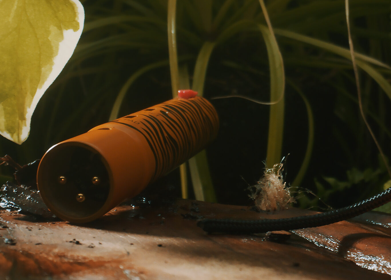 DM3 - sE Electronics