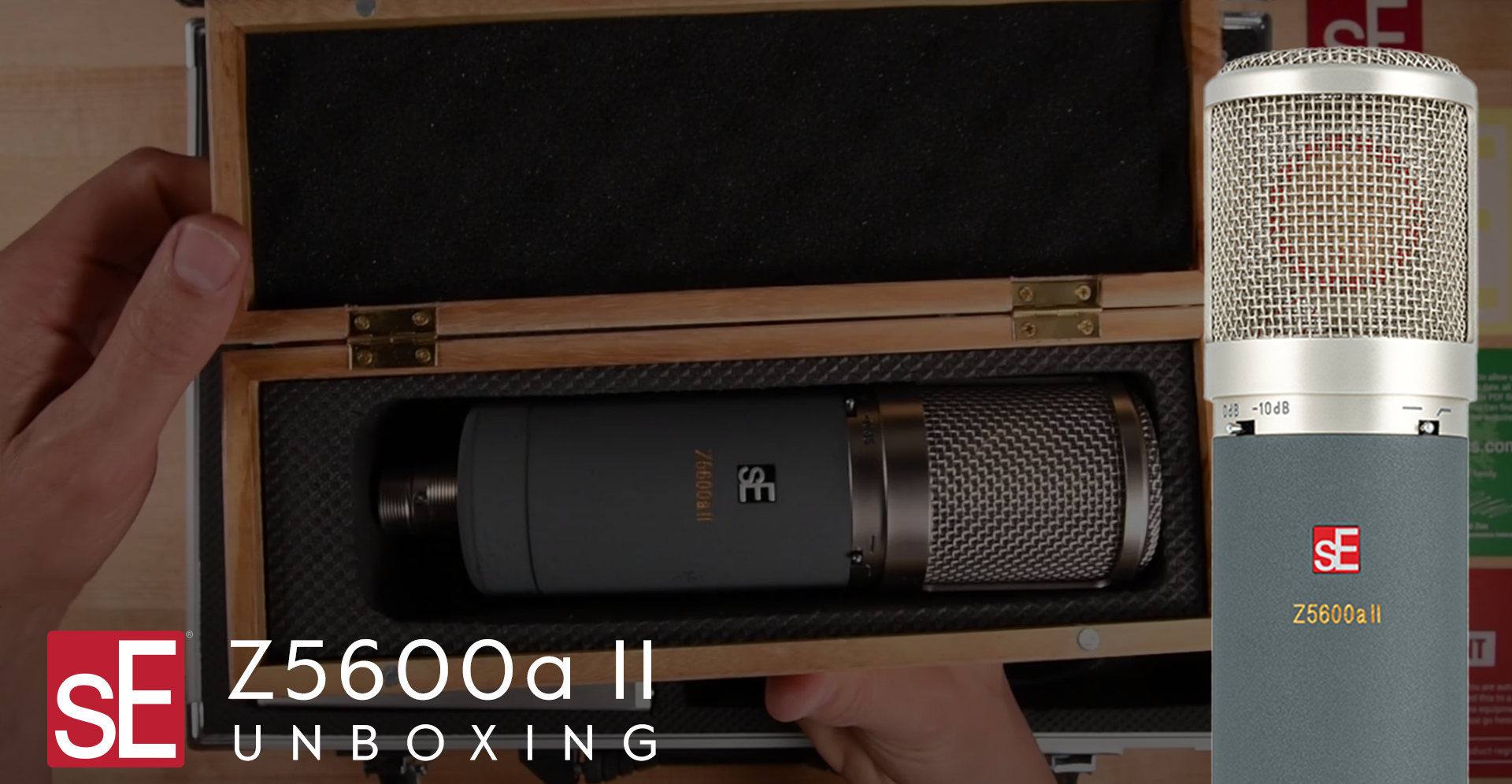 Z5600a II - sE Electronics