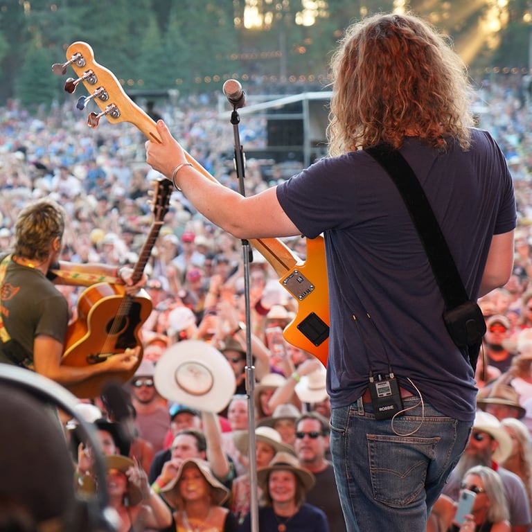 Robbie Crowell - sE Electronics