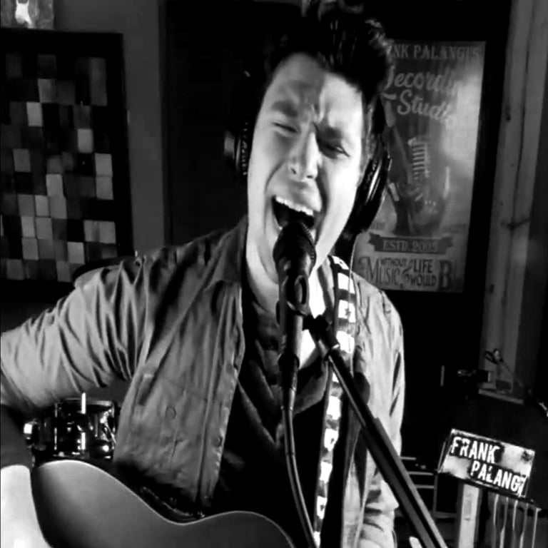 Frank Palangi - sE Electronics